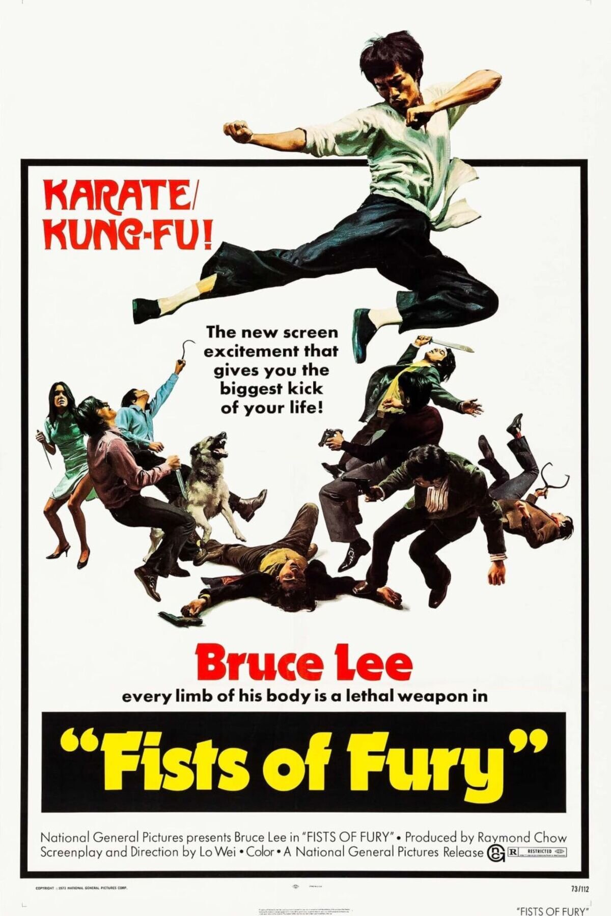 Fist of Fury (1972) ( FOLYO ) - AFİŞ - POSTER-2873 | Vartabi