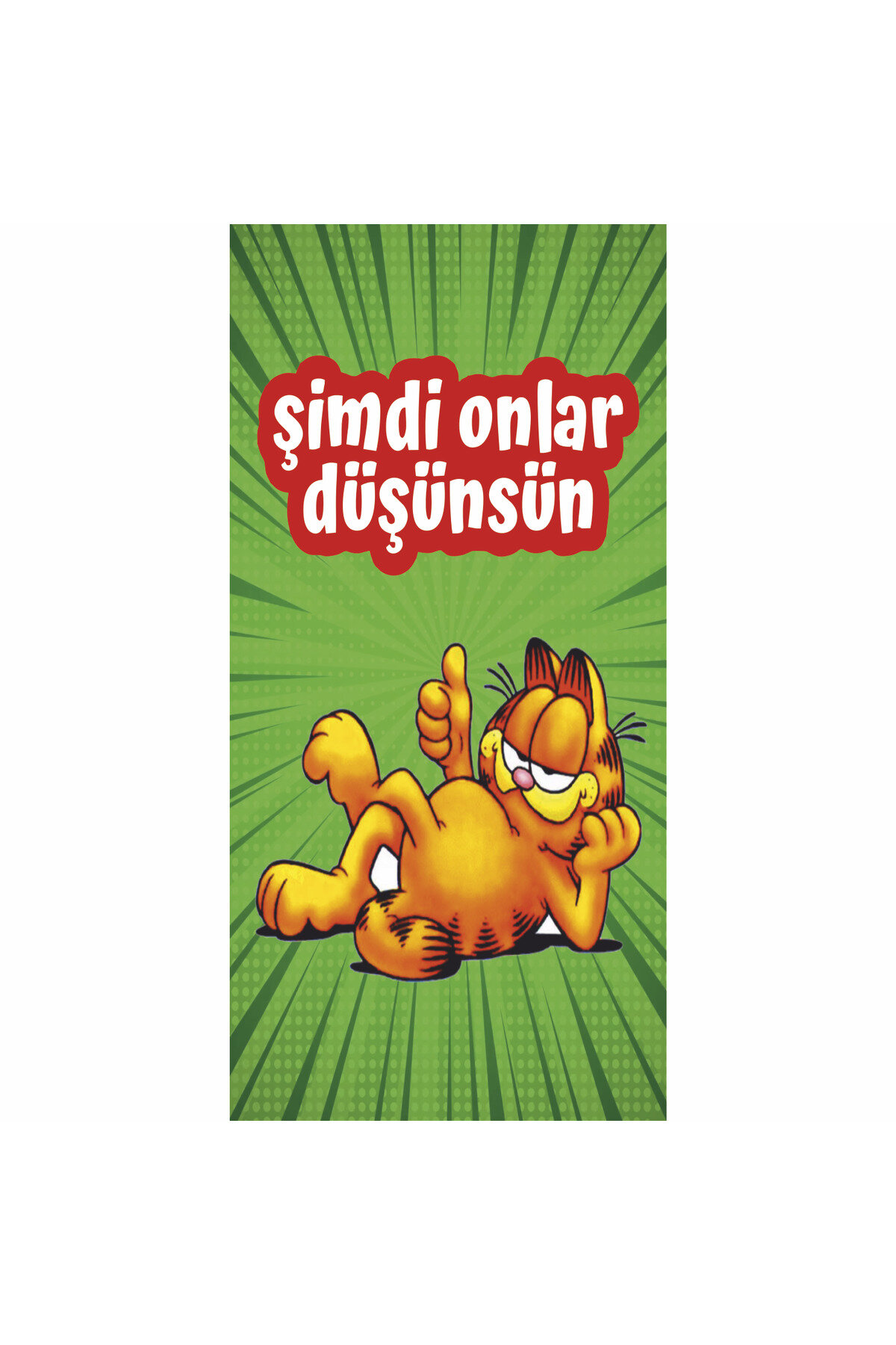 garfield şimdi onlar düşünsün komik duvar yazıları ev d | Vartabi